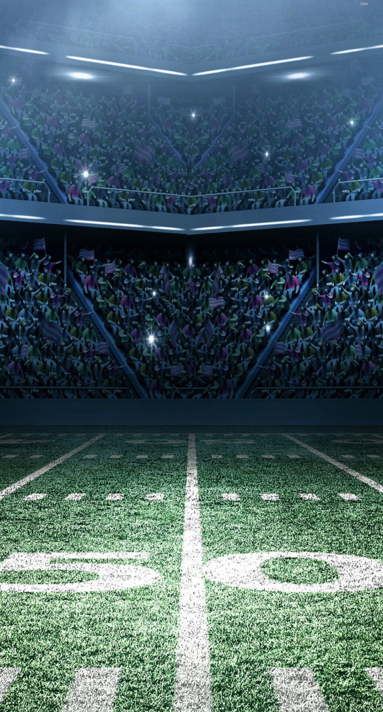 Stadium Vinyl Photography Backdrop For Studios - Frank Doorhof
