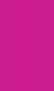 Fuchsia Rectangle Vinyl Photography Backdrop For Studios - Frank Doorhof