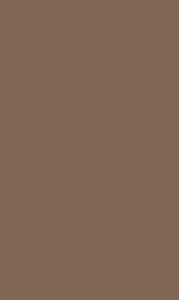 Mocha Rectangle Vinyl Photography Backdrop For Studios - Frank Doorhof