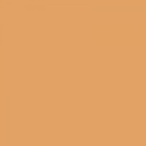 Apricot Square Vinyl Photography Backdrop For Studios - Frank Doorhof