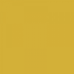 Mustard Square Vinyl Photography Backdrop For Studios - Frank Doorhof